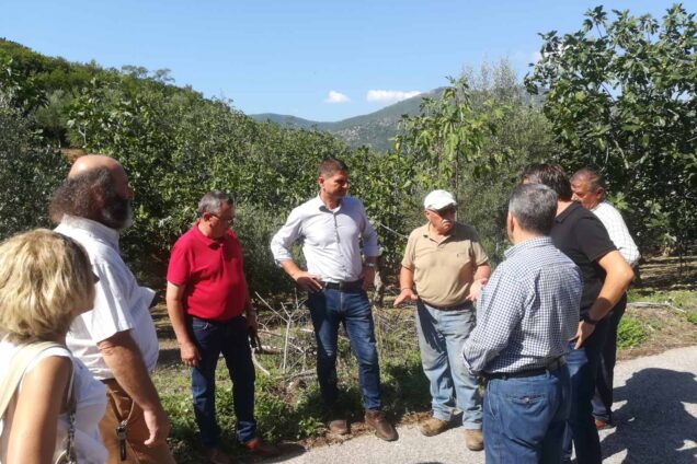 Αθανασόπουλος: «Άμεσα να κινηθεί ο μηχανισμός του ΕΛΓΑ και να δοθούν ...