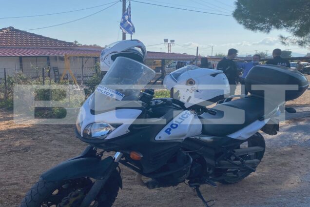 81χρονος σκότωσε την 61χρονη γυναίκα του με βαριοπούλα και έκοψε το ...