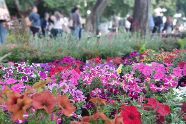 Ξεκίνησε η γιορτή των λουλουδιών στο Δημοτικό Πάρκο Σιδηροδρόμων ...