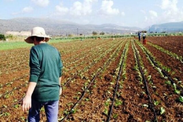 Σε ΦΕΚ η ΚΥΑ που ορίζει τις ενισχύσεις σε κορινθιακή σταφίδα, αχλάδια ...