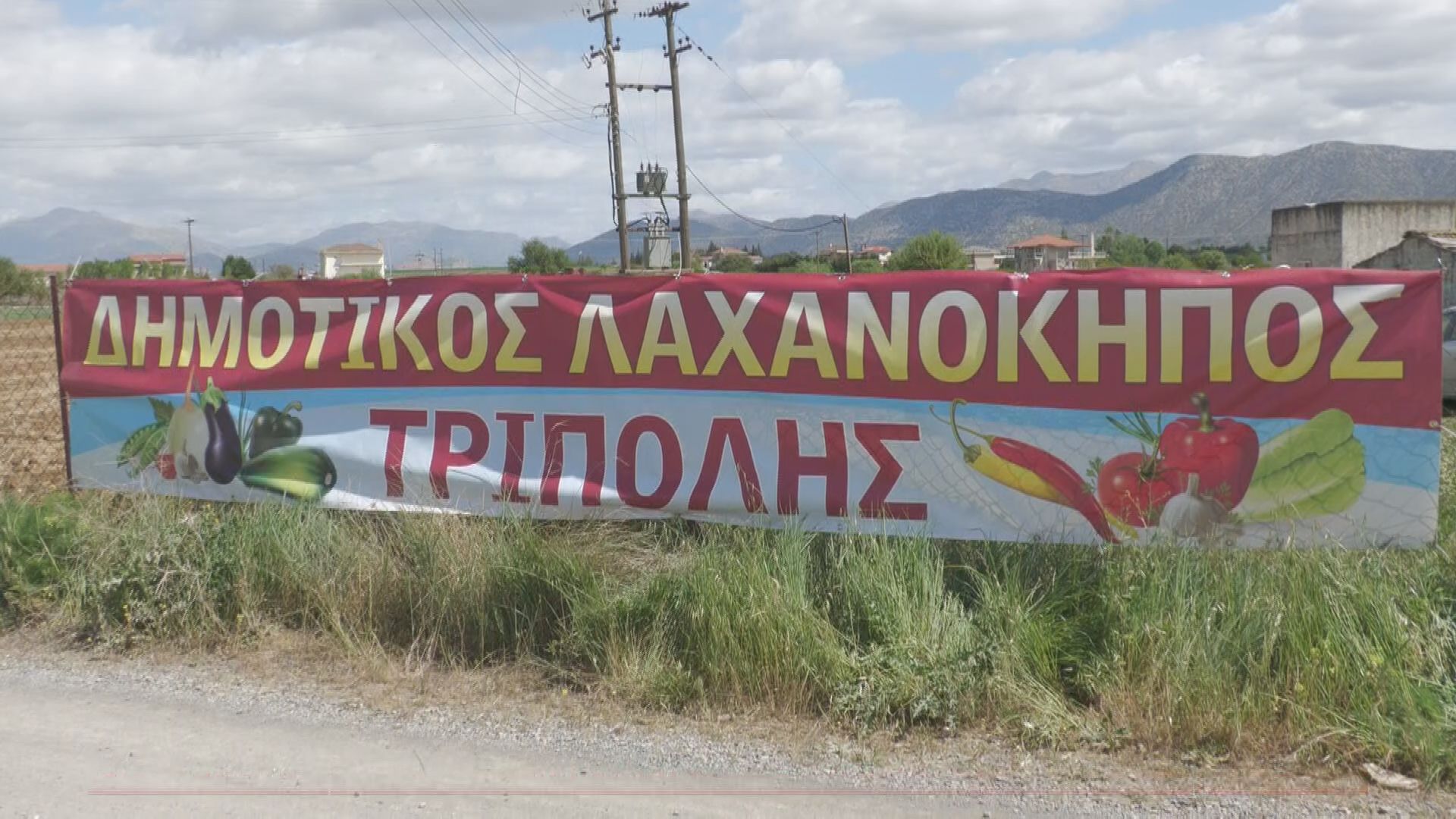 Συνεχίζει τη λειτουργία του ο Δημοτικός Λαχανόκηπος Τρίπολης (video ...