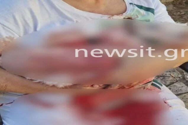 Σκηνικό τρόμου για οικογένεια στη Μεσσηνία που δέχθηκε επίθεση από ...