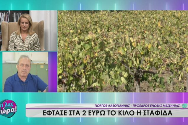 "Τσίμπησε" η τιμή της σταφίδας - Έφτασε στα 2 ευρώ το κιλό - BEST TV ...
