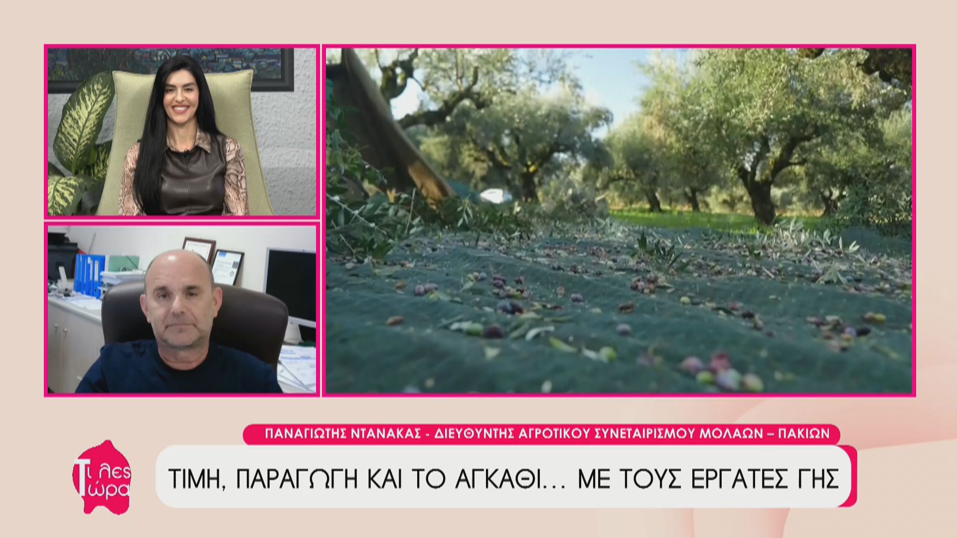 Ελαιόλαδο: Ποιότητα, τιμή, παραγωγή και τα «αγκάθια» - Τι σημείωσε ο ...