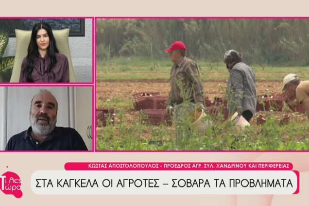 Στα κάγκελα οι αγρότες - Σοβαρά τα προβλήματα - BEST TV Καλαμάτα