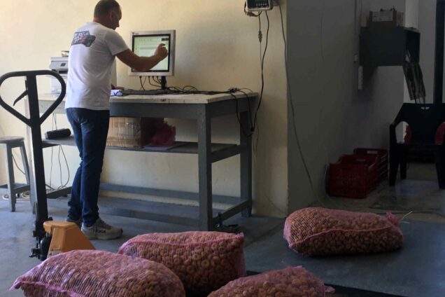 Από την παράδοση στη ψηφιακή καινοτομία | Η ΣΥΚΙΚΗ ανοίγει νέους ...