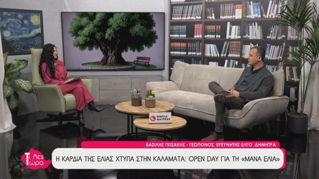 Παγκόσμια Ημέρα Ελιάς: Open Day γνωριμίας με τη «Μάνα Ελιά» και τον ...