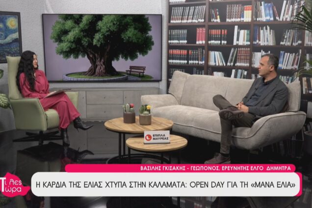 Παγκόσμια Ημέρα Ελιάς: Open Day γνωριμίας με τη «Μάνα Ελιά» και τον ...